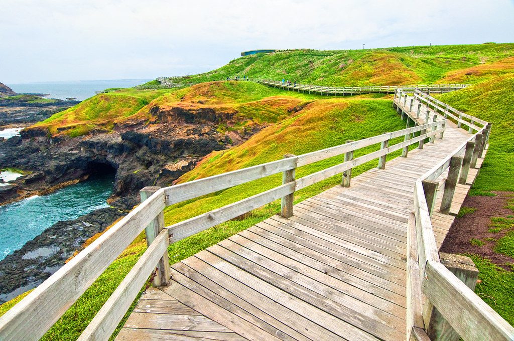 What to see and do on Phillip Island