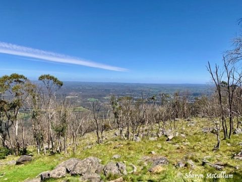 Mount Macedon Road Trip - Discover Australia Now