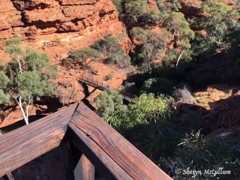 Explore Australia's Red Centre And Visit Uluru-Kata Tjuta, Kings Canyon