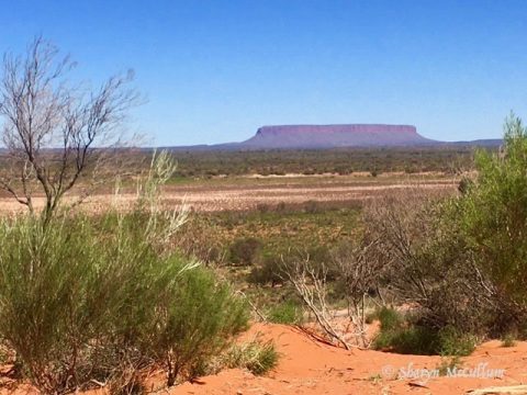 Explore Australia's Red Centre And Visit Uluru-Kata Tjuta, Kings Canyon