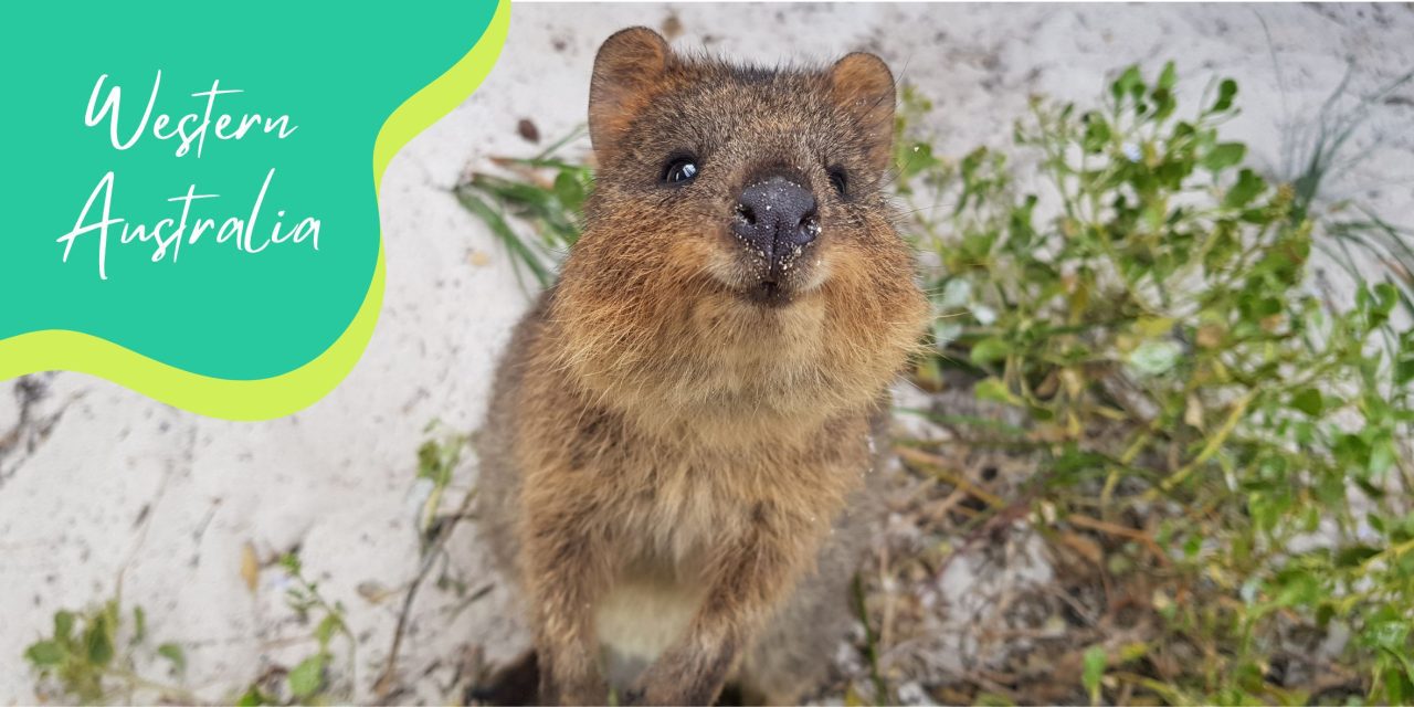 Western Australia Travel Guide | Discover Australia Now