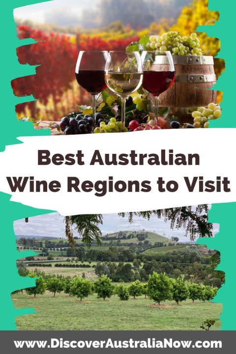 Best Wine Regions in Australia to Visit