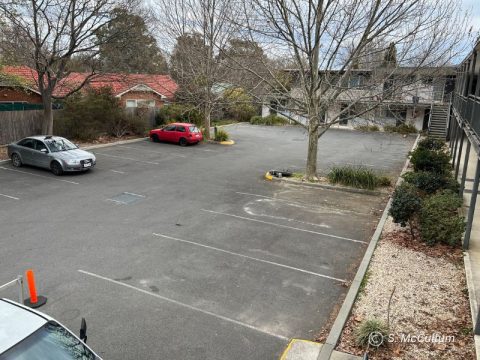 Ibis Styles Canberra Tall Trees Hotel Review