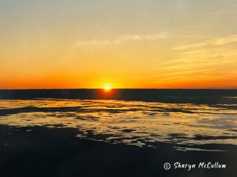 Best Things to See and Do in Kakadu National Park, NT