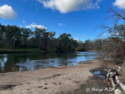 Albury Wodonga Loop Road Trip - Discover these border towns