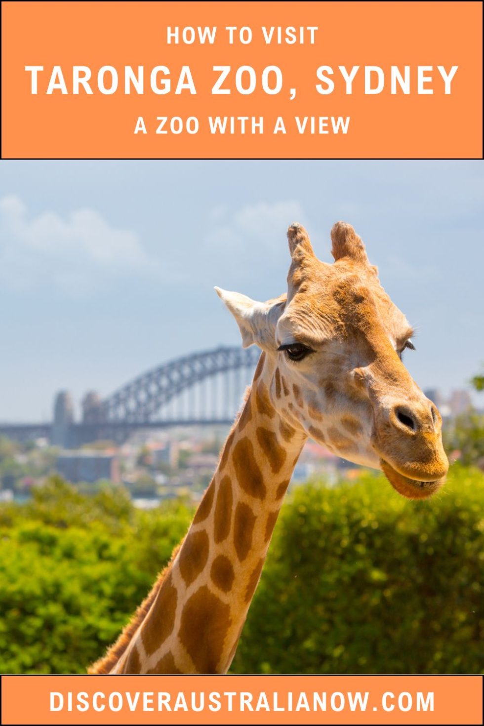 How to Visit Taronga Zoo, Sydney - A Zoo with a View - Discover ...